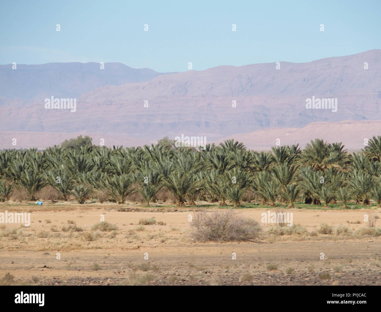 Marvelous view of african sandy desert at high ATLAS MOUNTAINS range ...