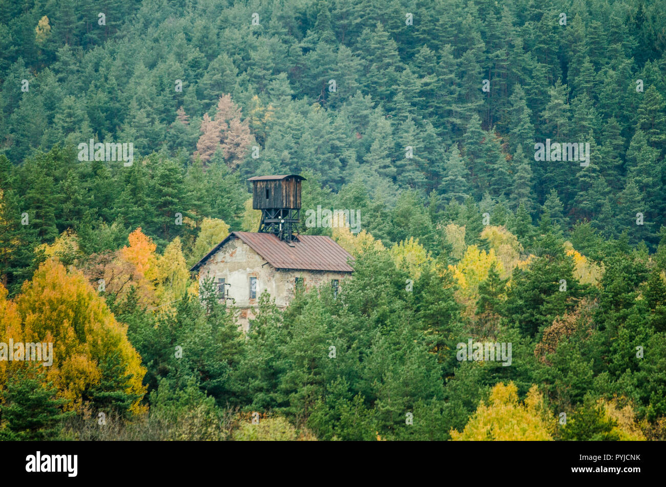 Historical mine building in the pine forest - Slovakia, Europe Stock ...