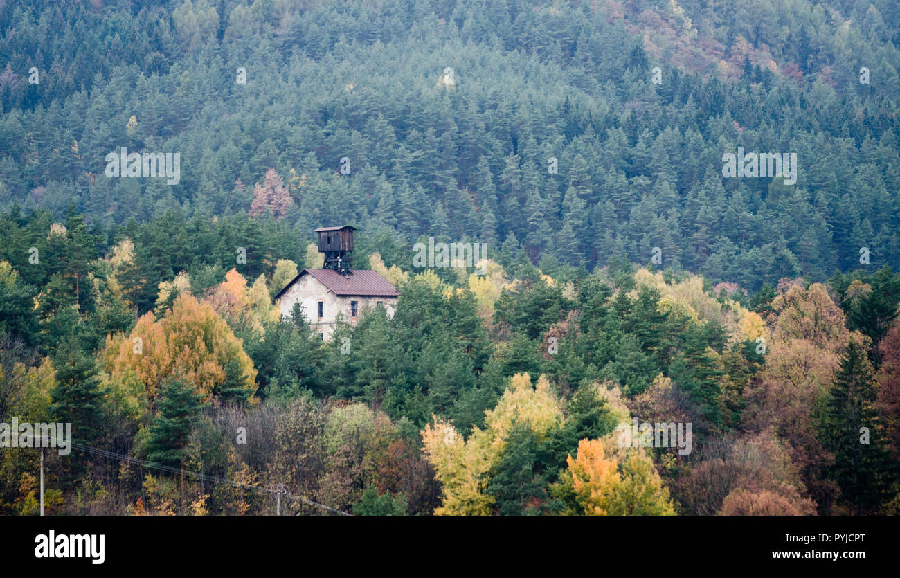 Historical mine building in the pine forest - Slovakia, Europe Stock ...