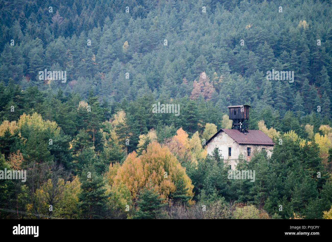 Historical mine building in the pine forest - Slovakia, Europe Stock ...