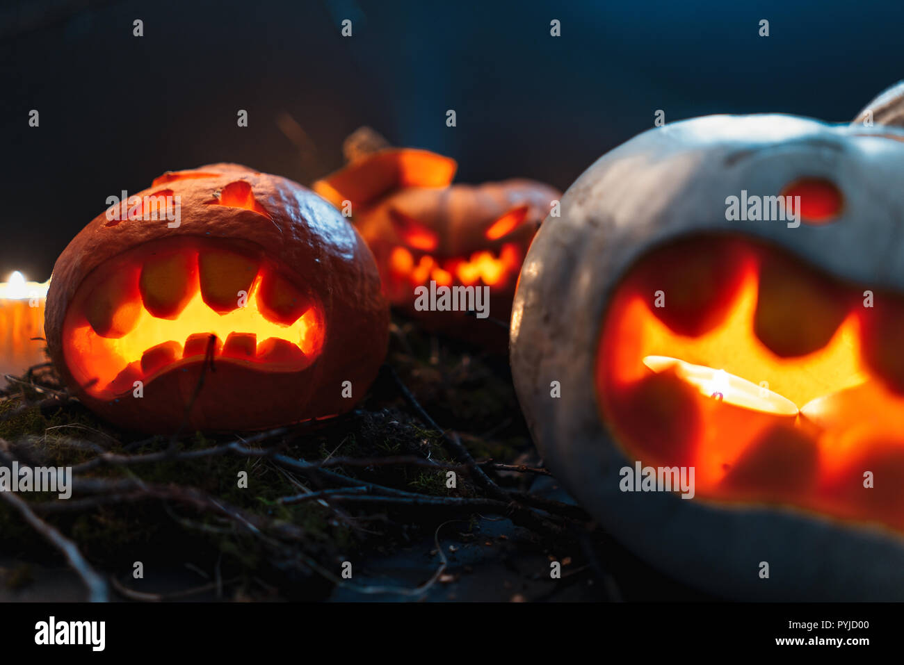 Halloween Pumpkins in a spooky forest at night Stock Photo - Alamy