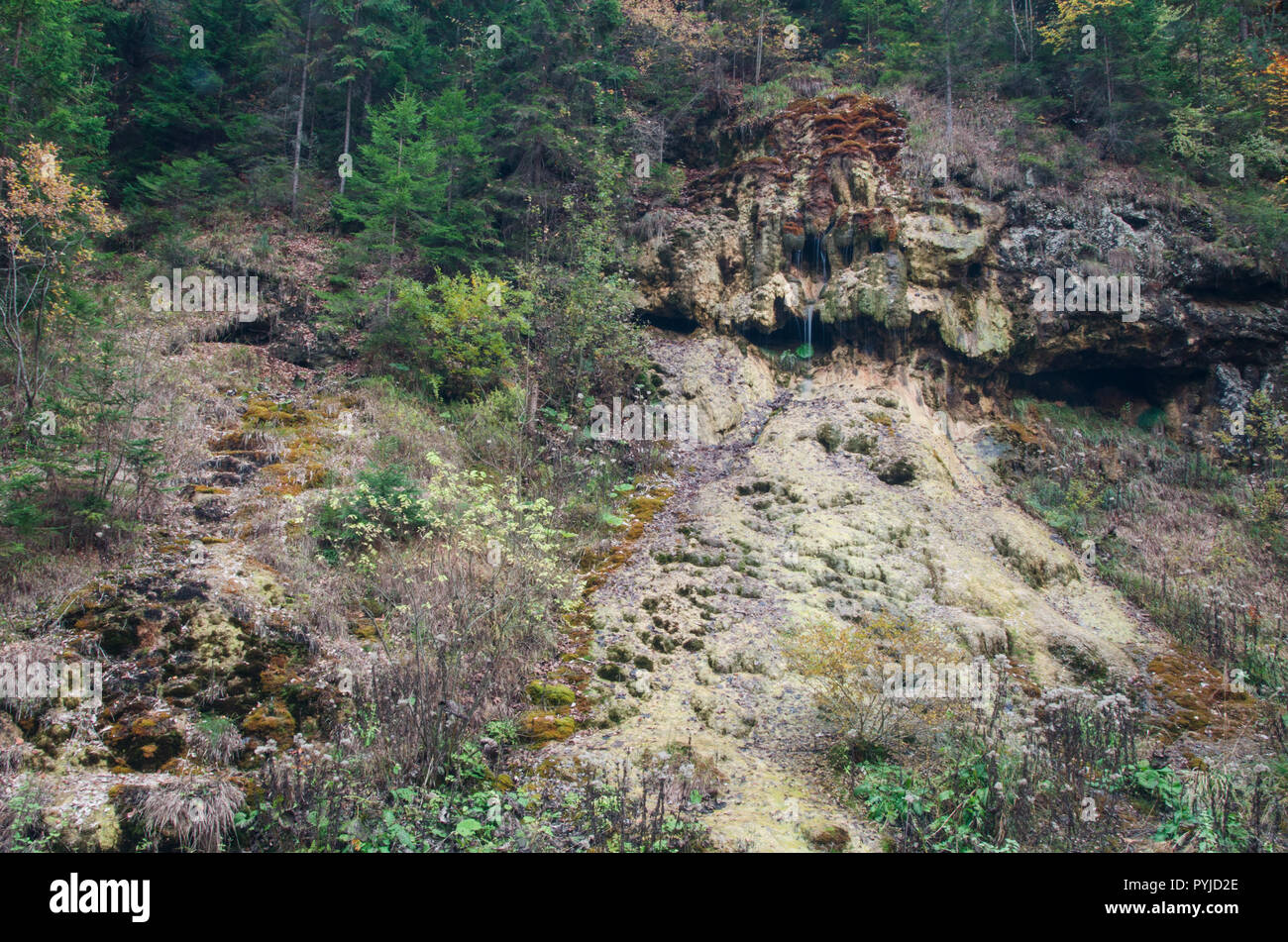 Dry waterfall in the forest - Slovakia, Europe Stock Photo - Alamy