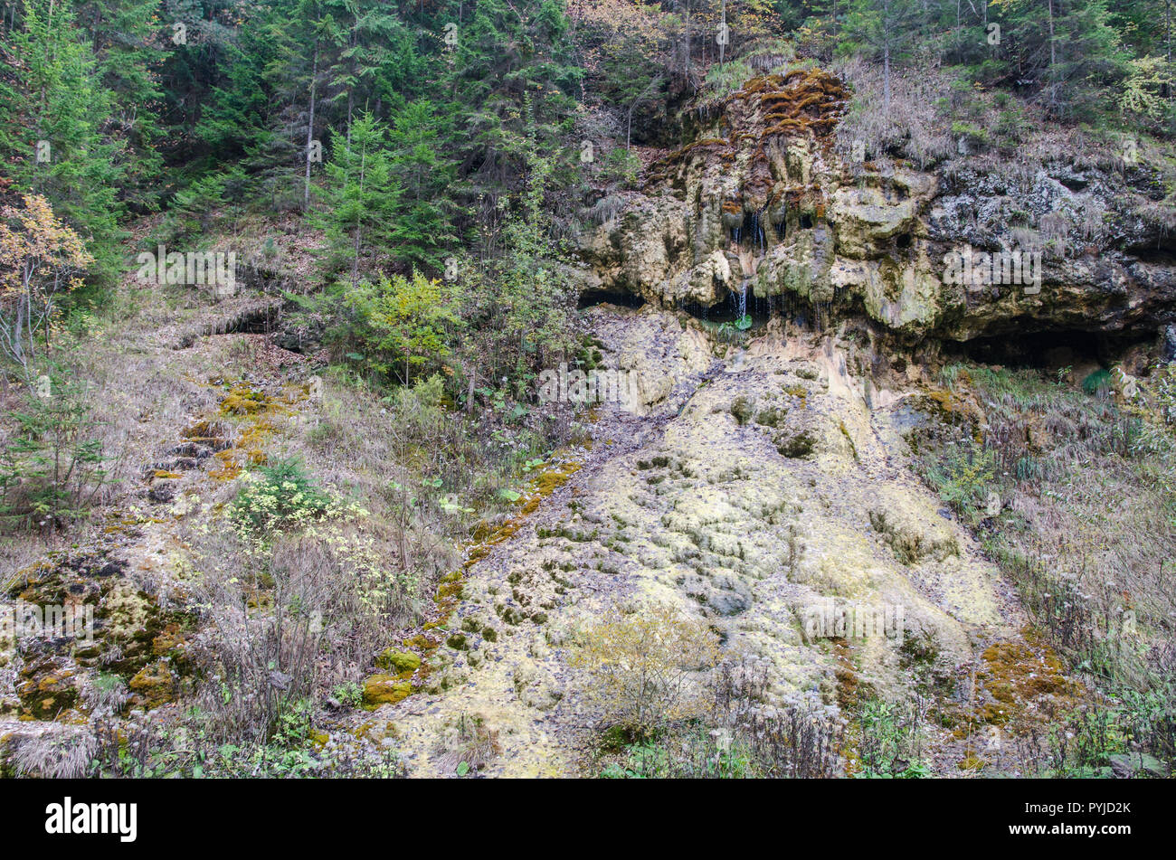 Dry waterfall in the forest - Slovakia, Europe Stock Photo - Alamy