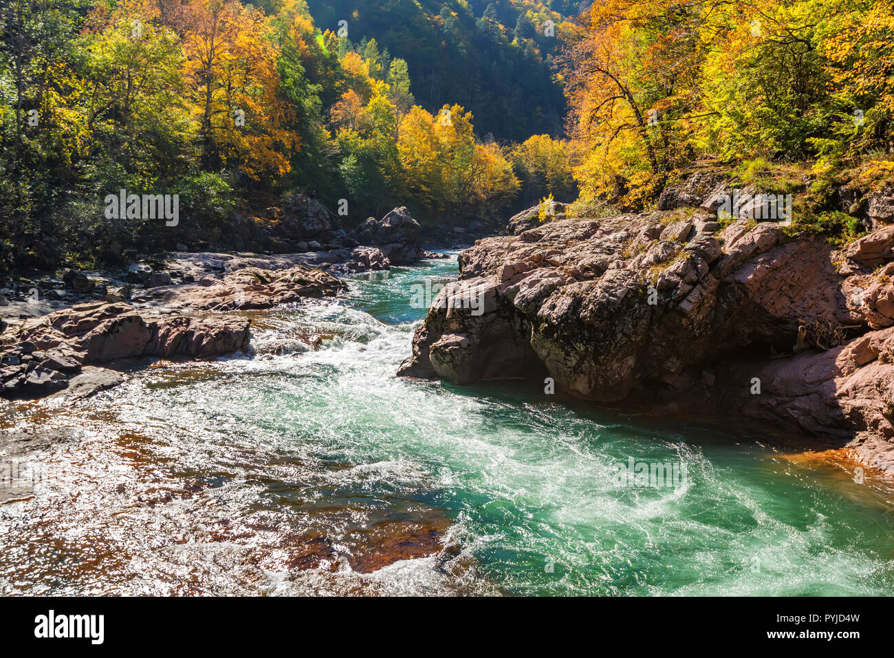 Fall landscape with mountain river and forest Stock Photo - Alamy