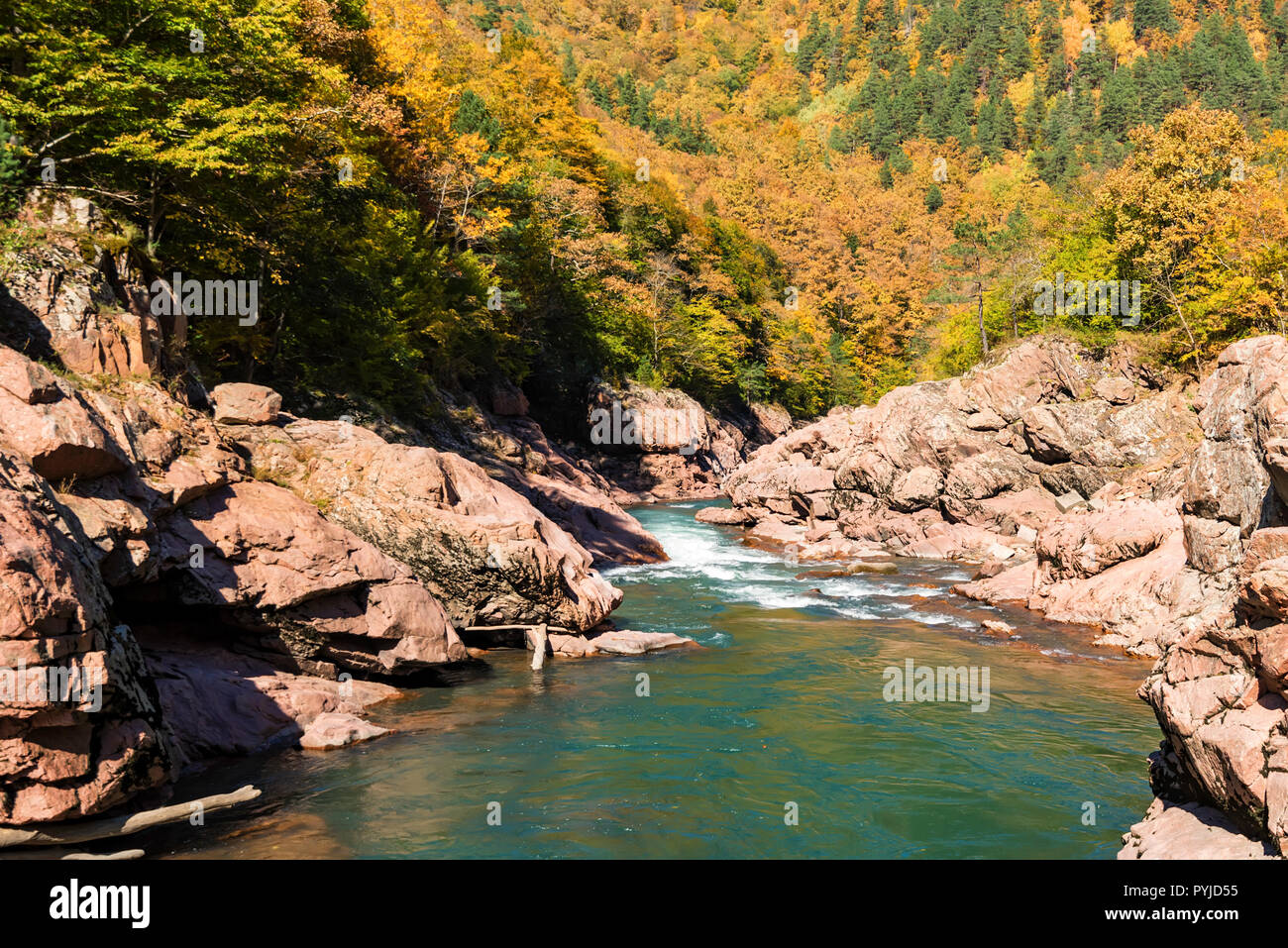 Fall landscape with mountain river and forest Stock Photo - Alamy