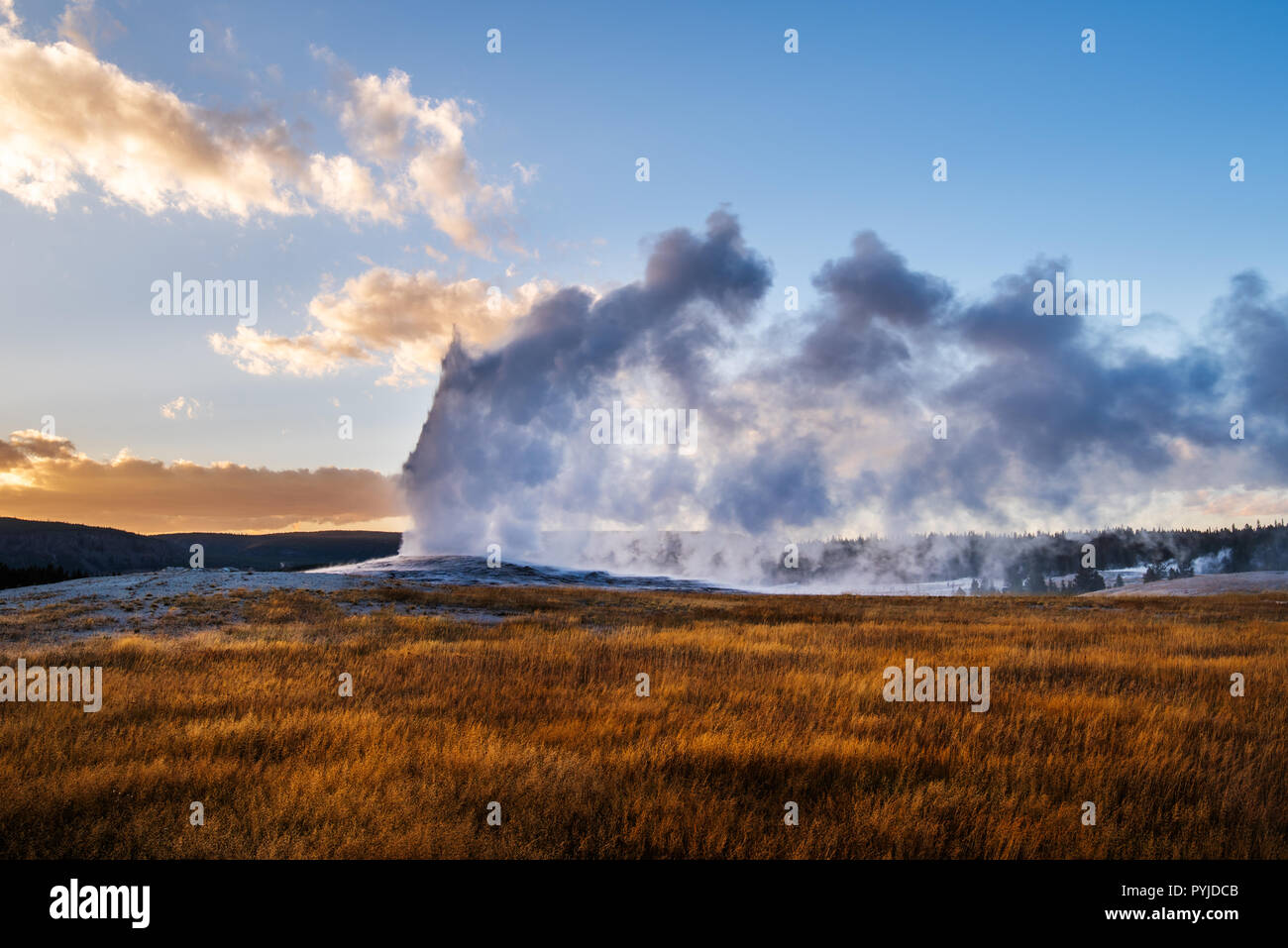 Yellowstone old faithful erupts hi-res stock photography and images - Alamy
