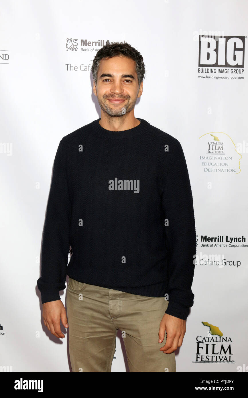 Opening night of the 2018 Catalina Film Festival, at the Art Theater in ...