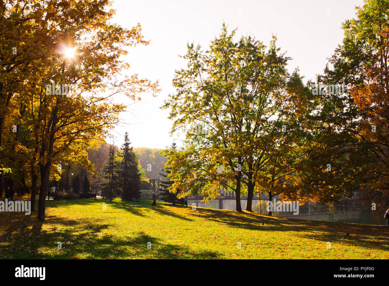 Bright november sunshine hi-res stock photography and images - Alamy