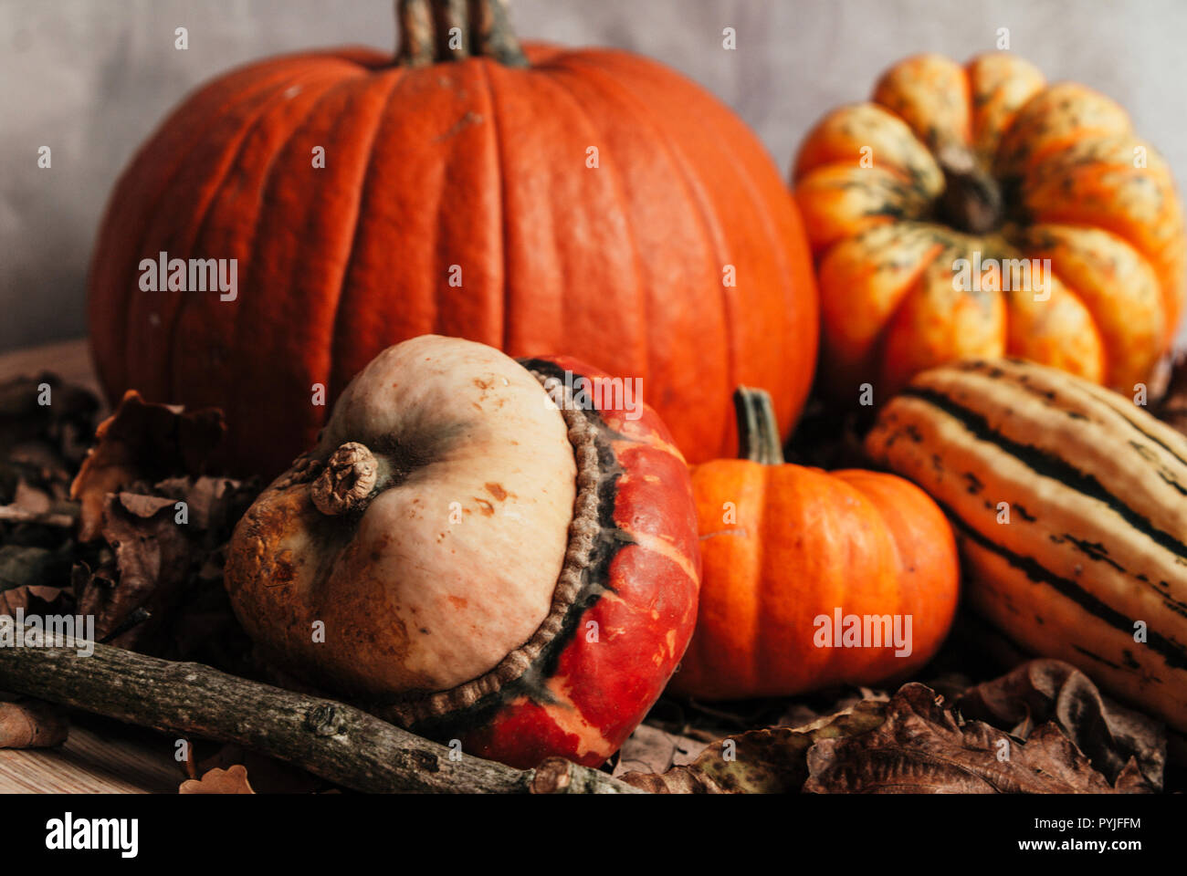 Speckled squash hi-res stock photography and images - Alamy