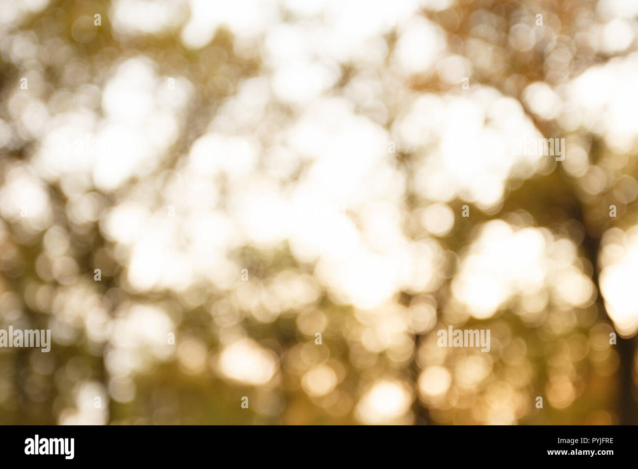 Soft blurred fall background hi-res stock photography and images - Alamy