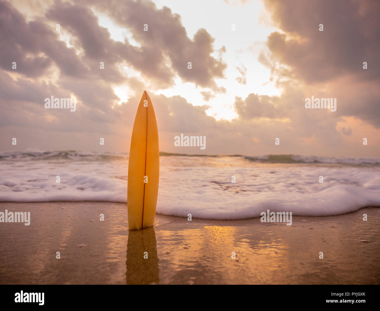 surfboard on the beach in sea shore at sunset time with beautiful light ...
