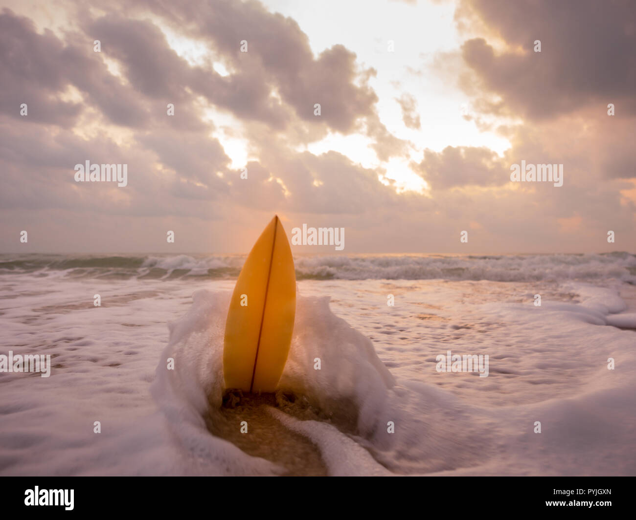 surfboard on the beach in sea shore at sunset time with beautiful light ...