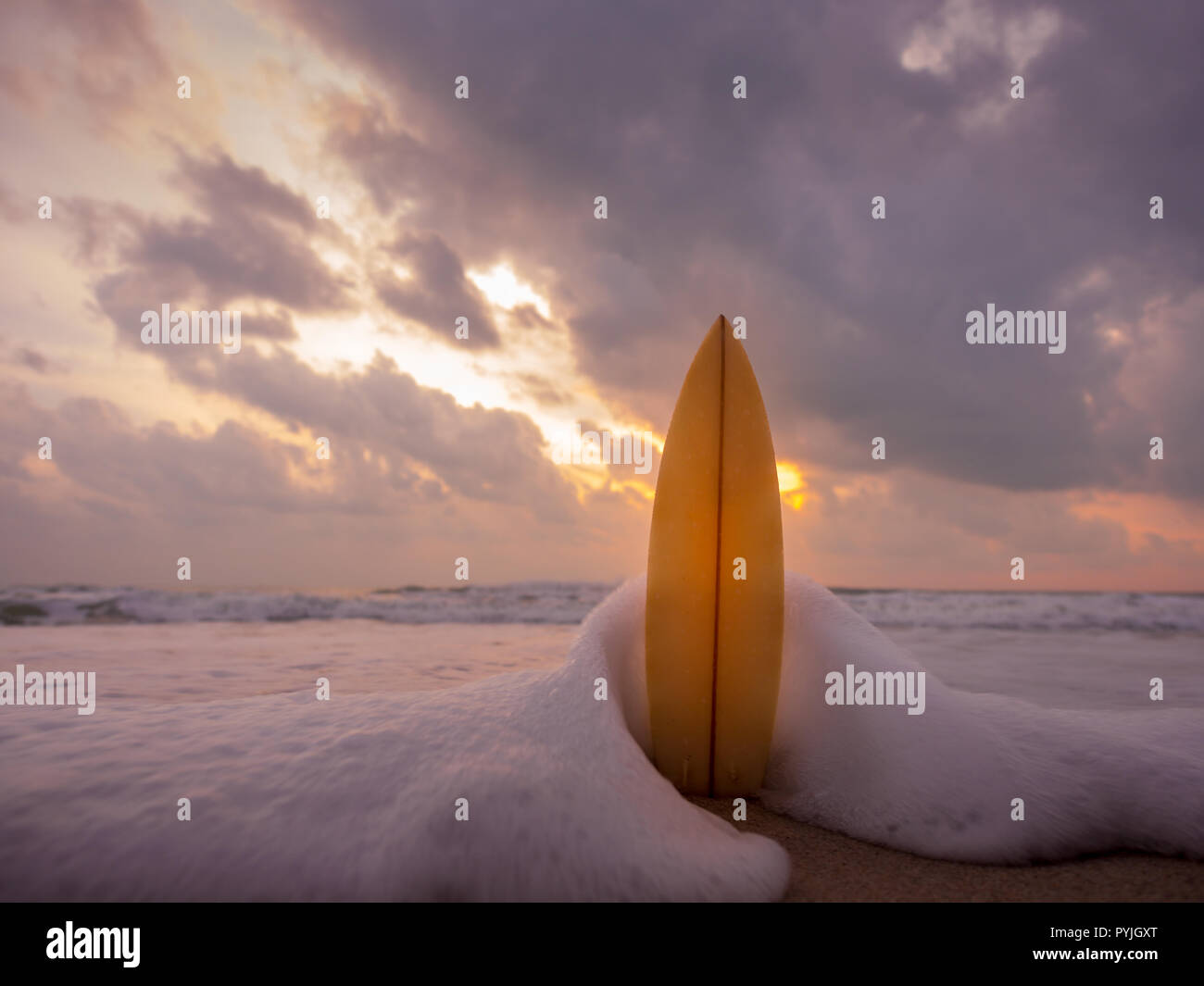 surfboard on the beach in sea shore at sunset time with beautiful light ...