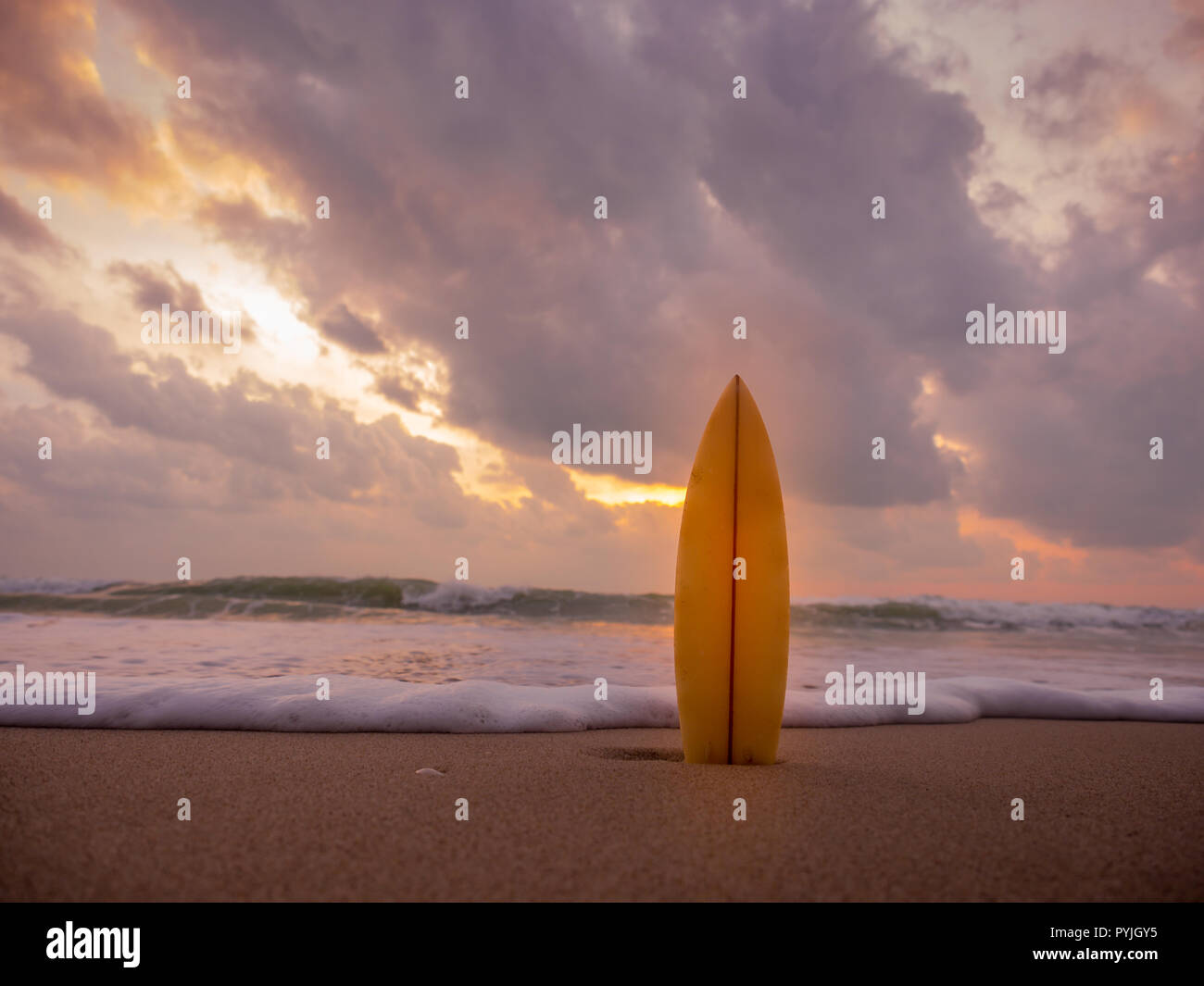 surfboard on the beach in sea shore at sunset time with beautiful light ...
