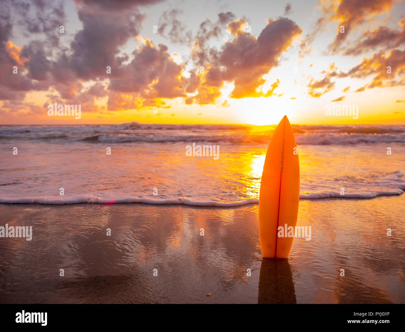 surfboard on the beach in sea shore at sunset time with beautiful light ...