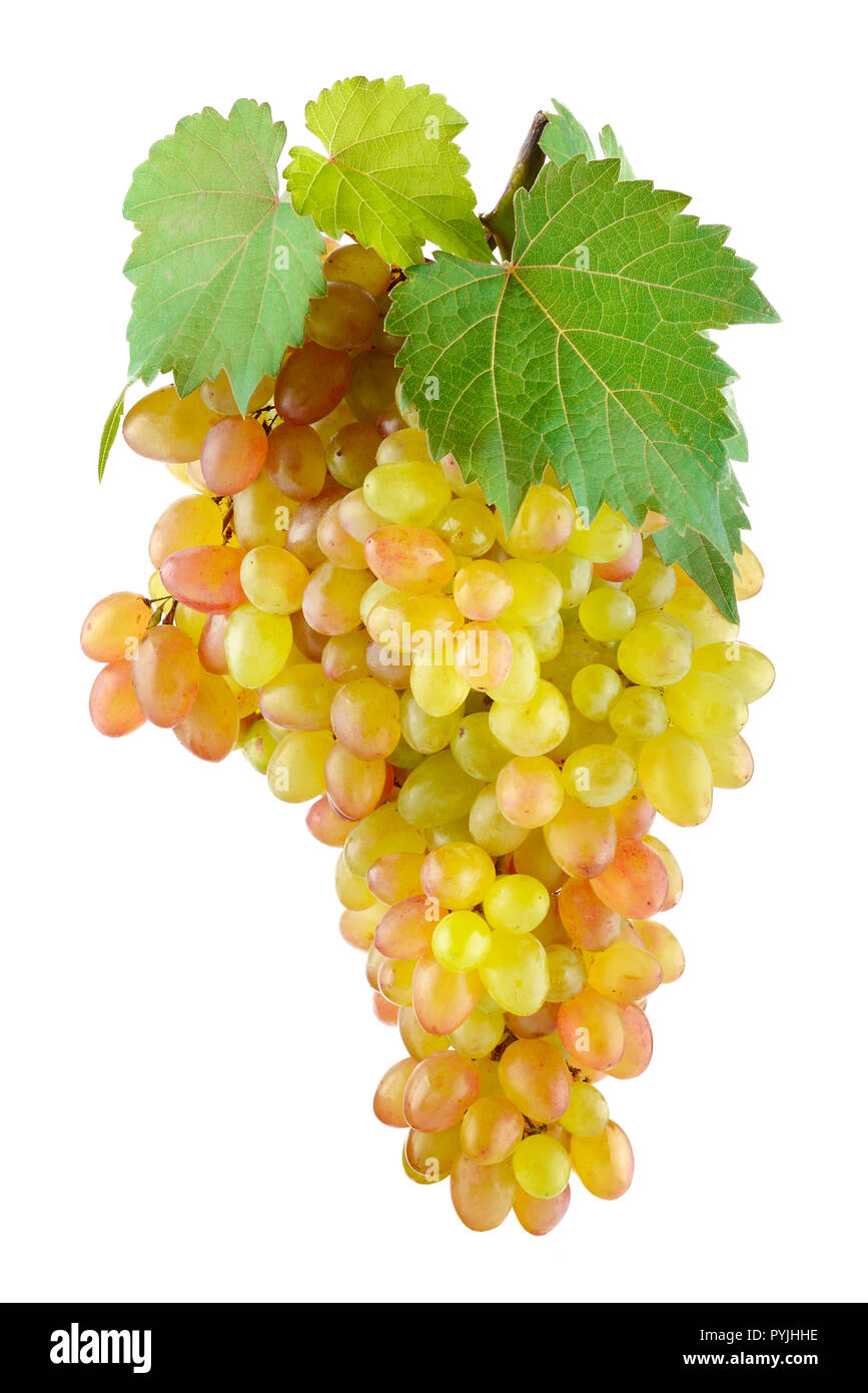 Big grapes Cut Out Stock Images & Pictures - Alamy