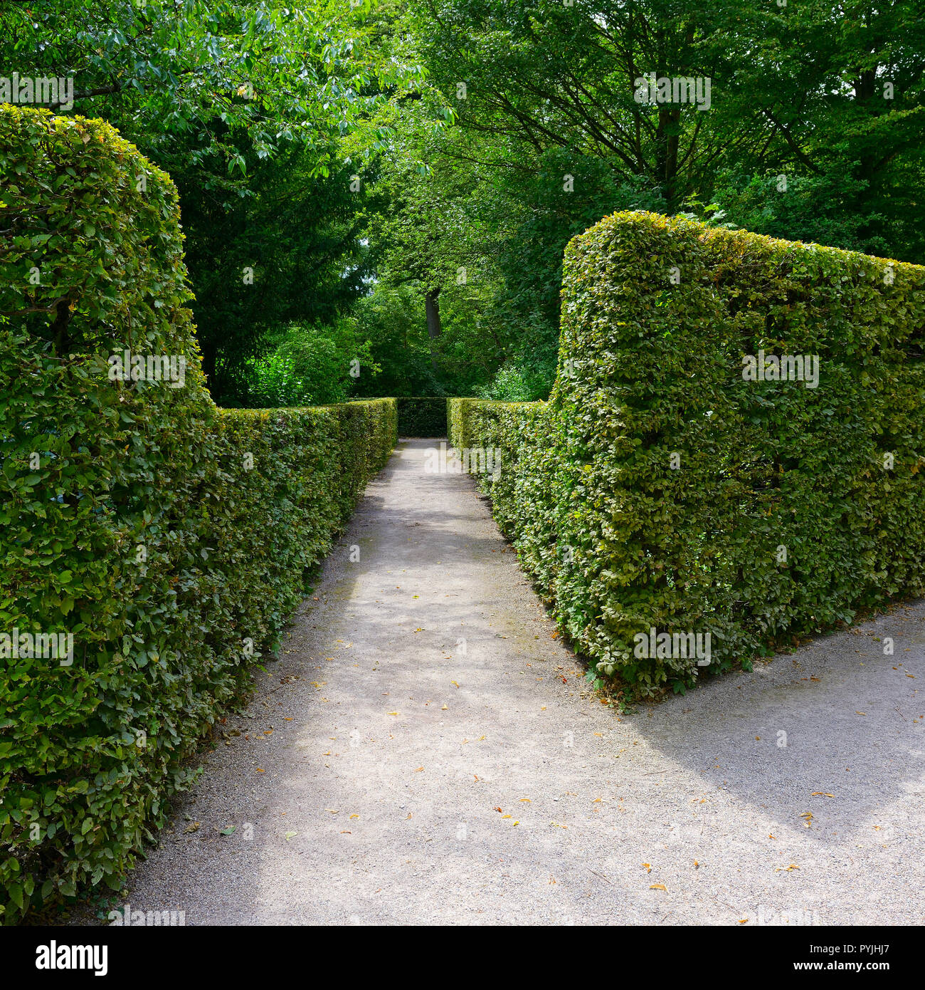 Summer landscape with meadow and hedges hi-res stock photography and ...