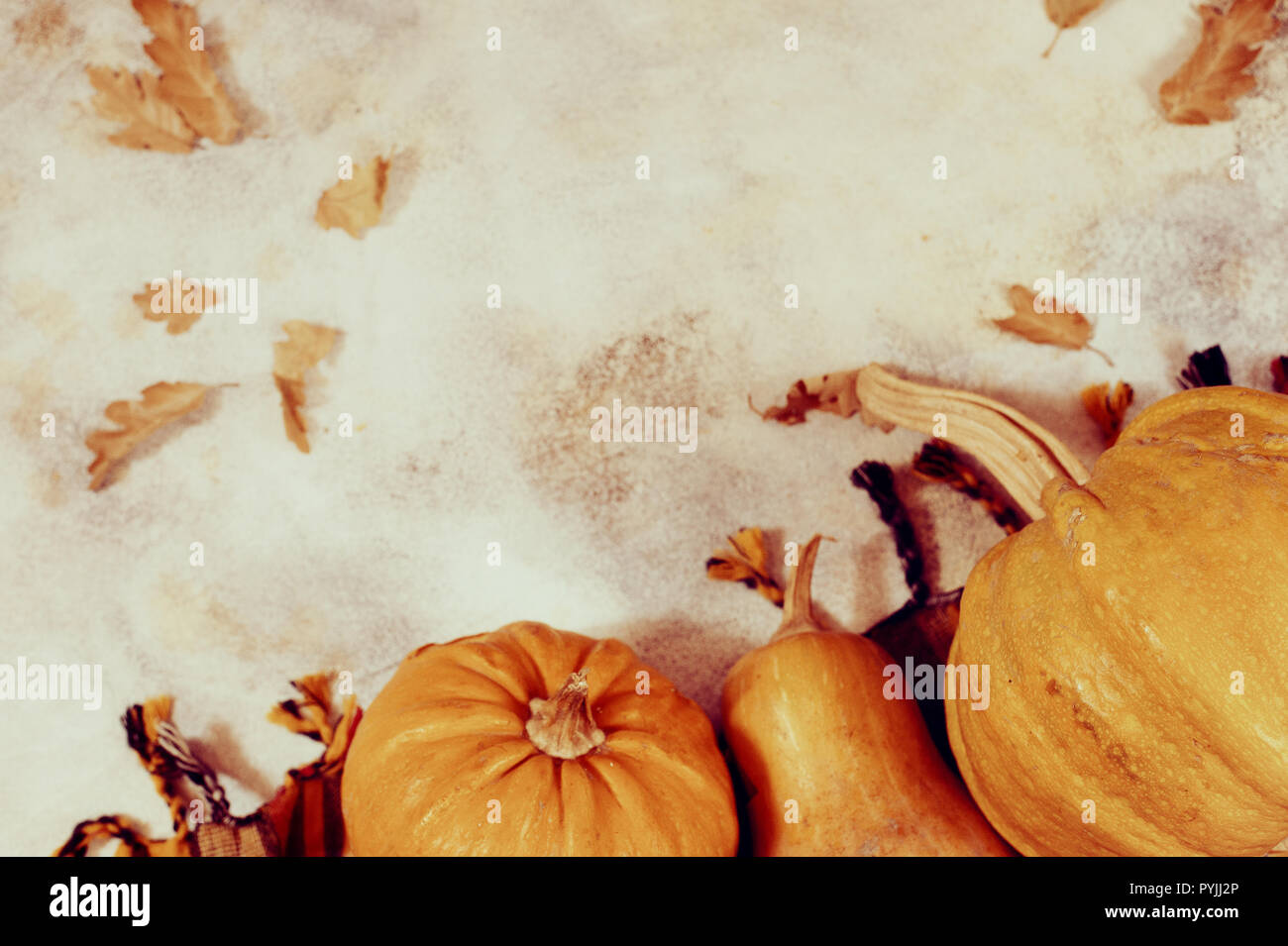 Autumn background with pumpkins overhead view with copy space Stock ...