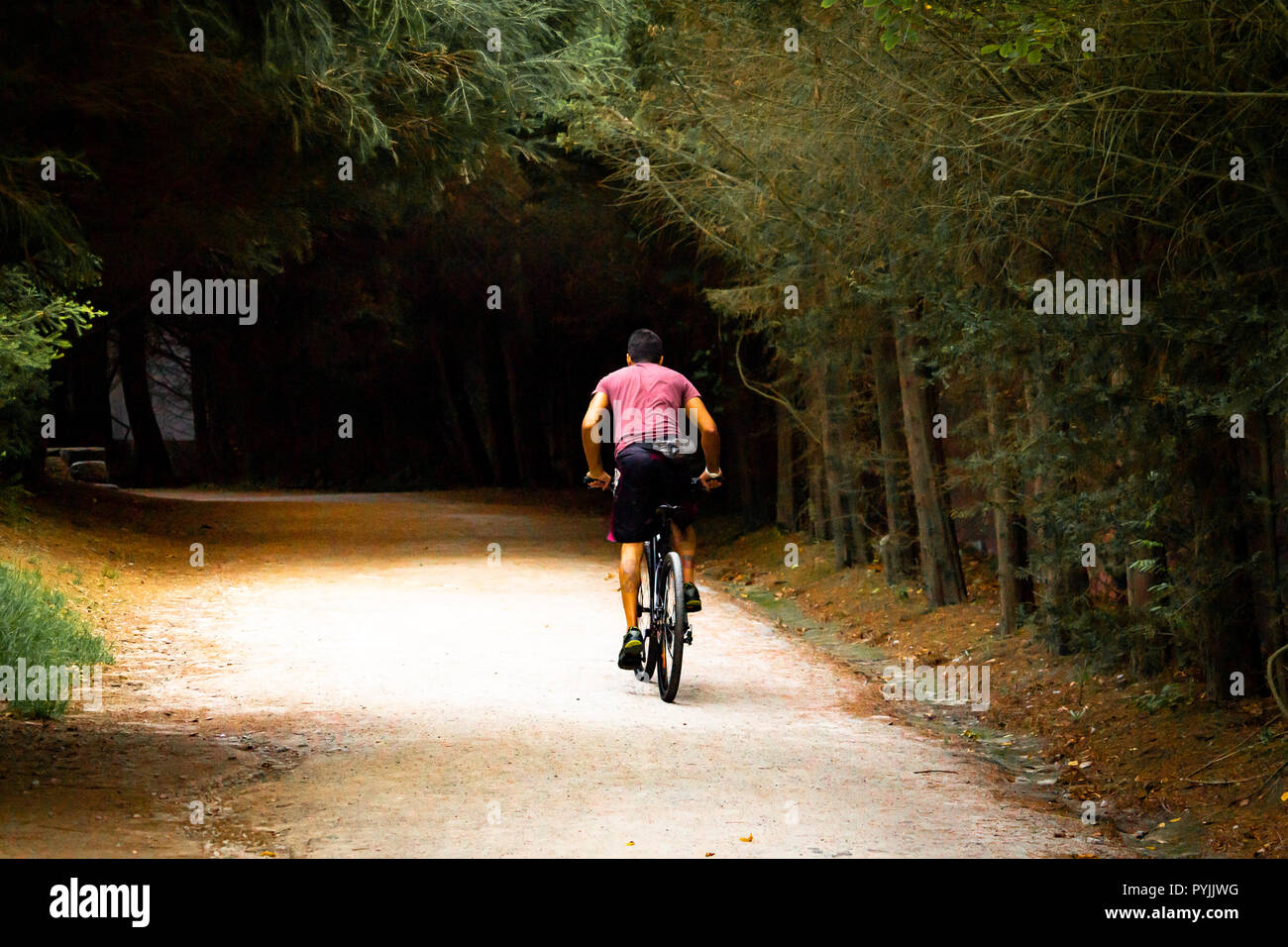Back view of a cyclist riding in a park Stock Photo - Alamy