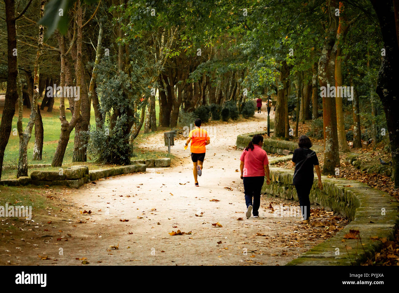 Back view of a male runner passing by two middle-aged women Stock Photo ...