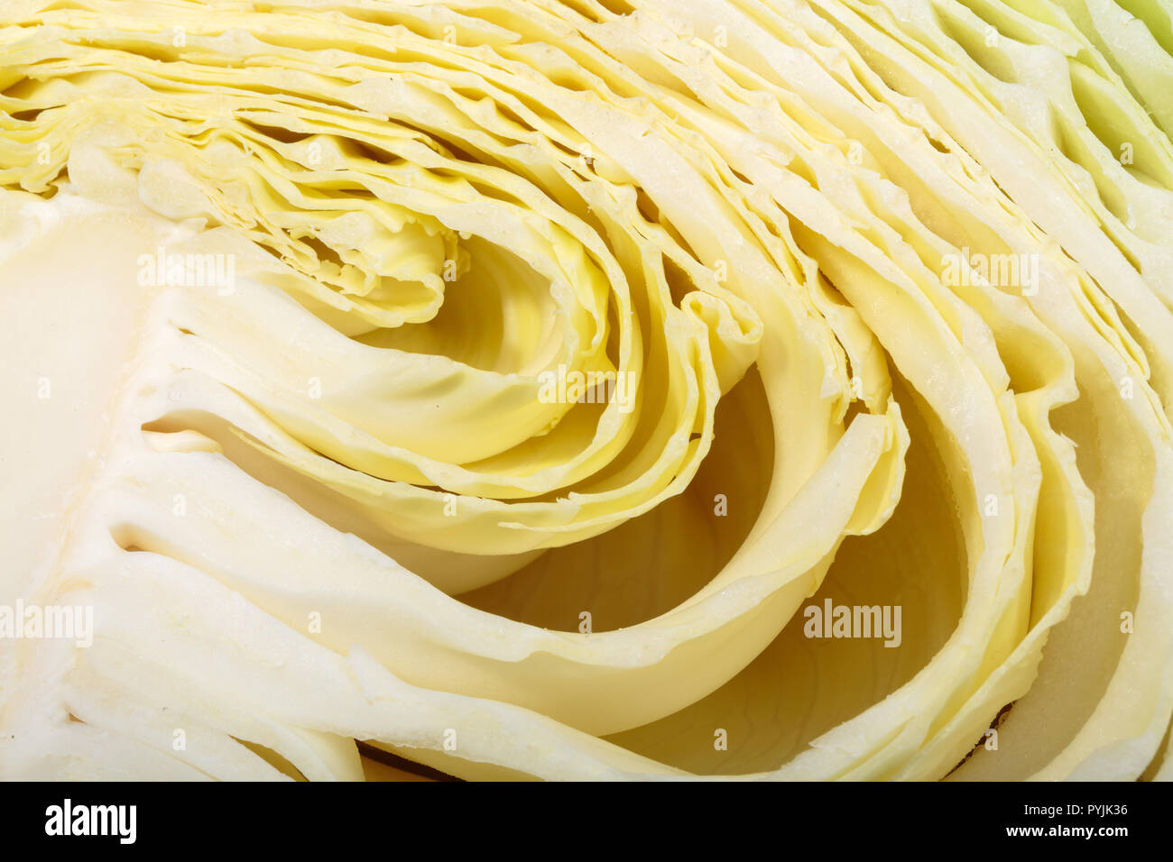 white cabbage, texture of cut white cabbage showing inside curly ...
