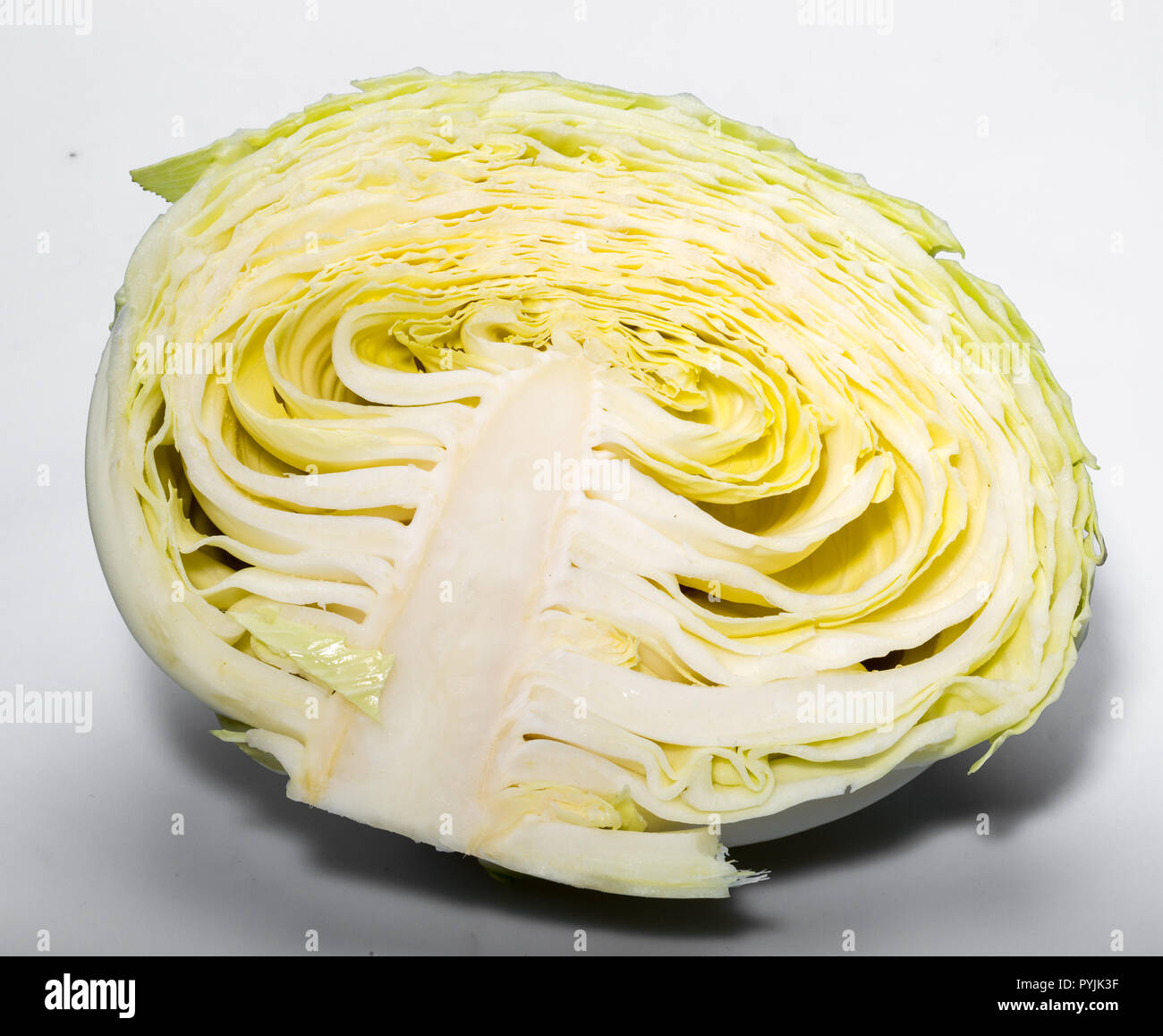 white cabbage, texture of cut white cabbage showing inside curly ...