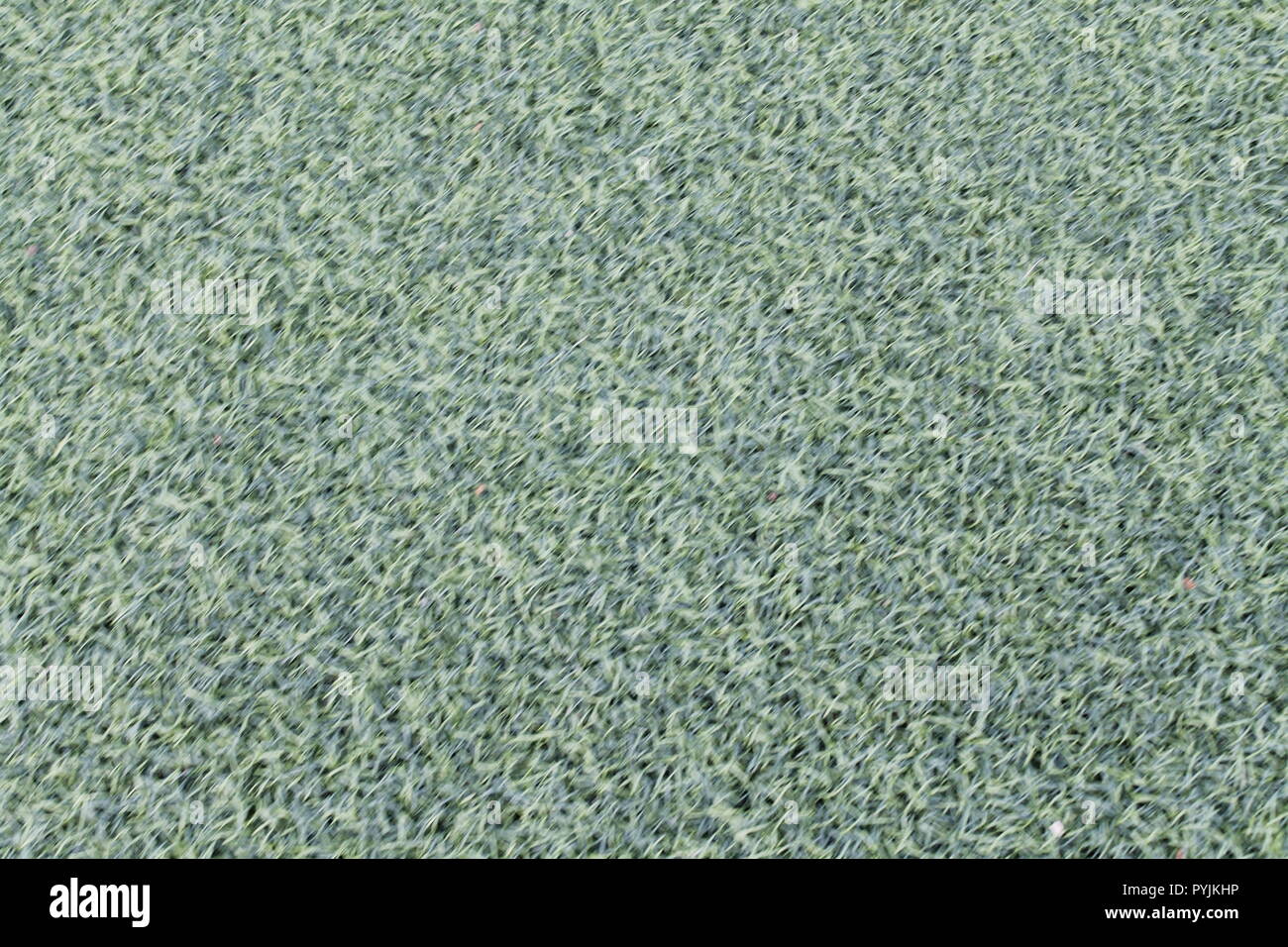 Beautiful green grass texture from golf course Stock Photo - Alamy