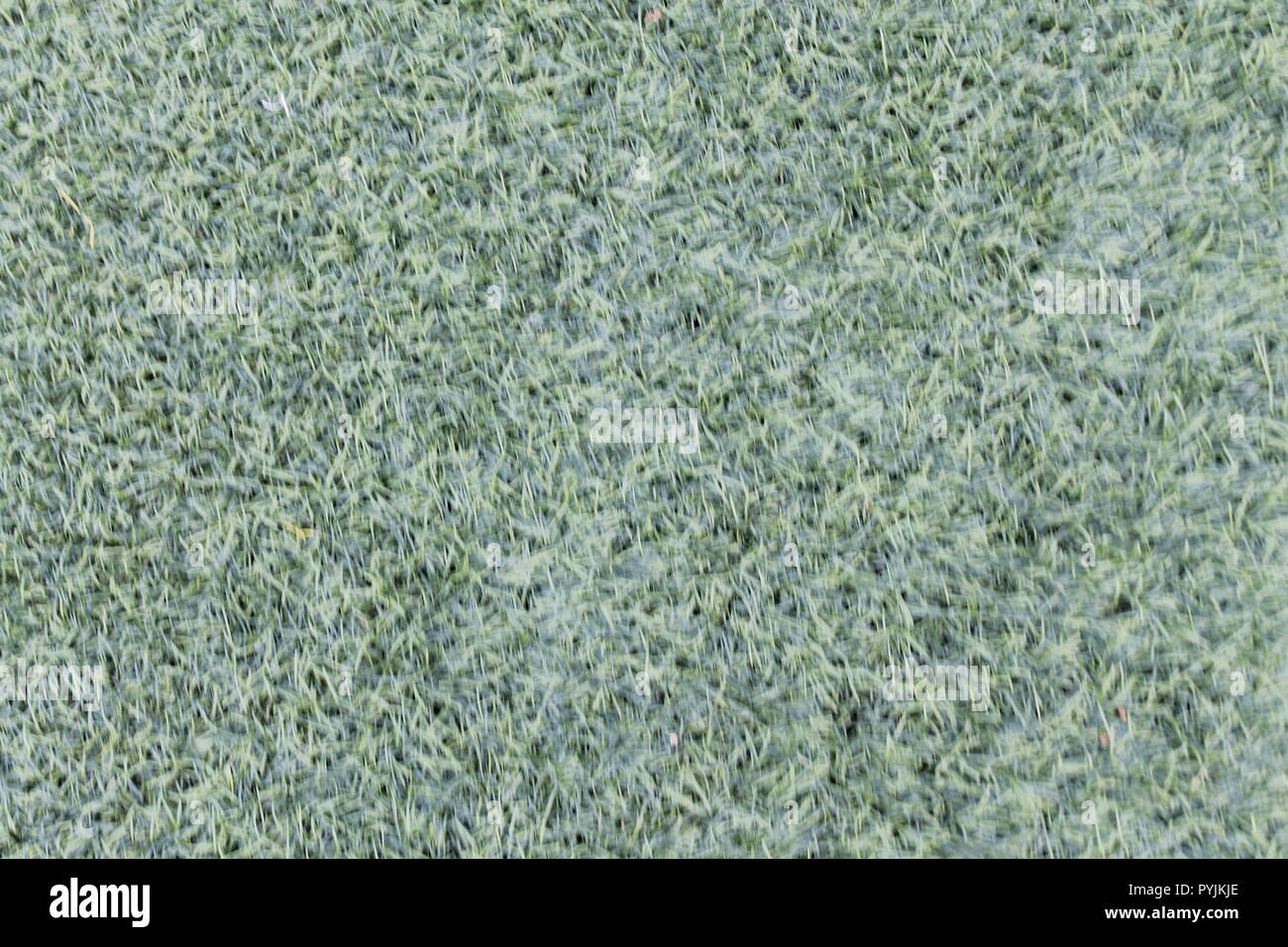 Beautiful green grass texture from golf course Stock Photo - Alamy