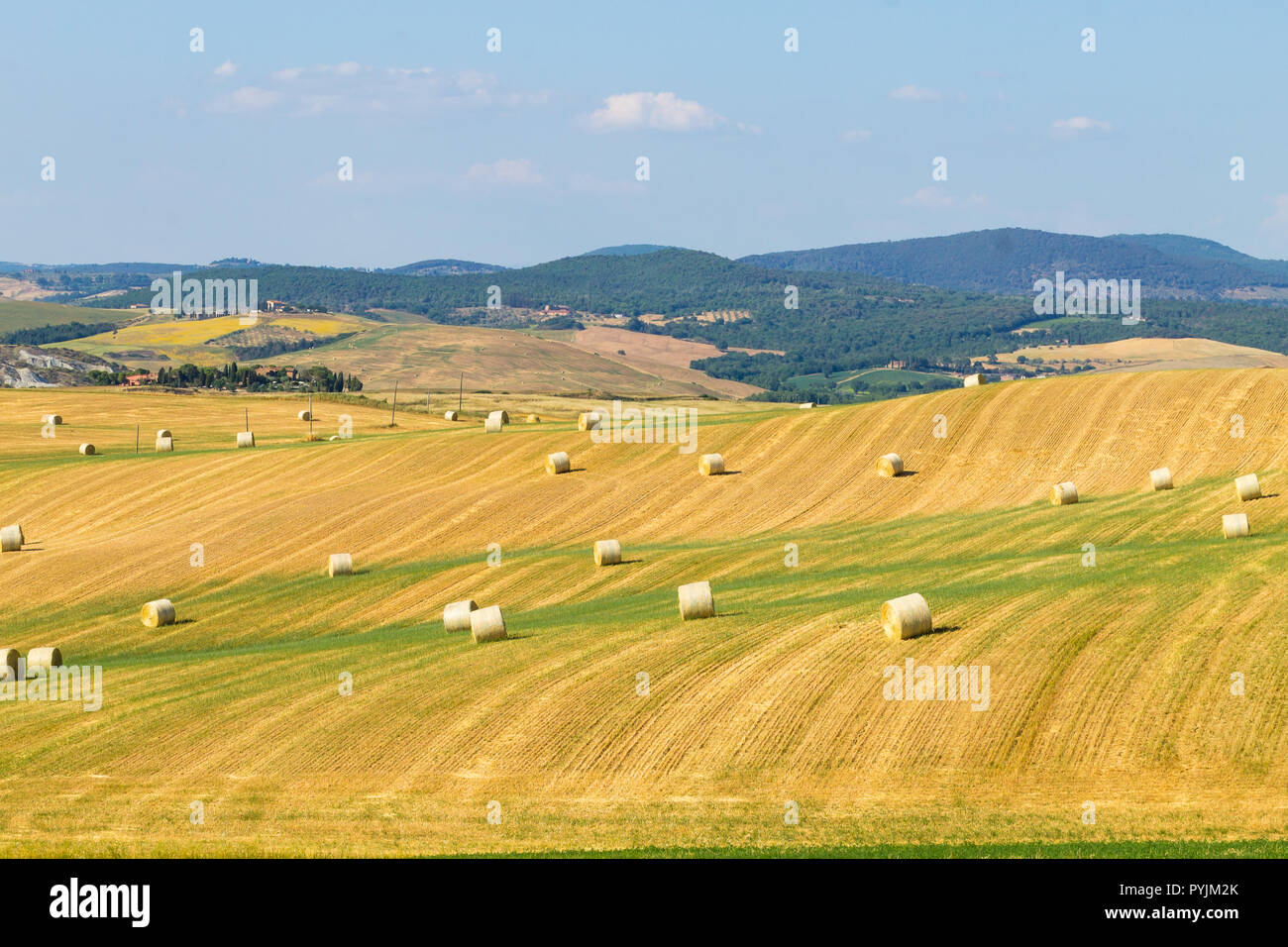Tuscany hills landscape, Italy. Rural italian panorama Stock Photo - Alamy