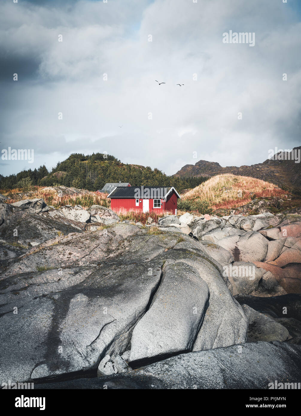Rainbow ofer red houses rorbuer of Reine in Lofoten, Norway with red ...