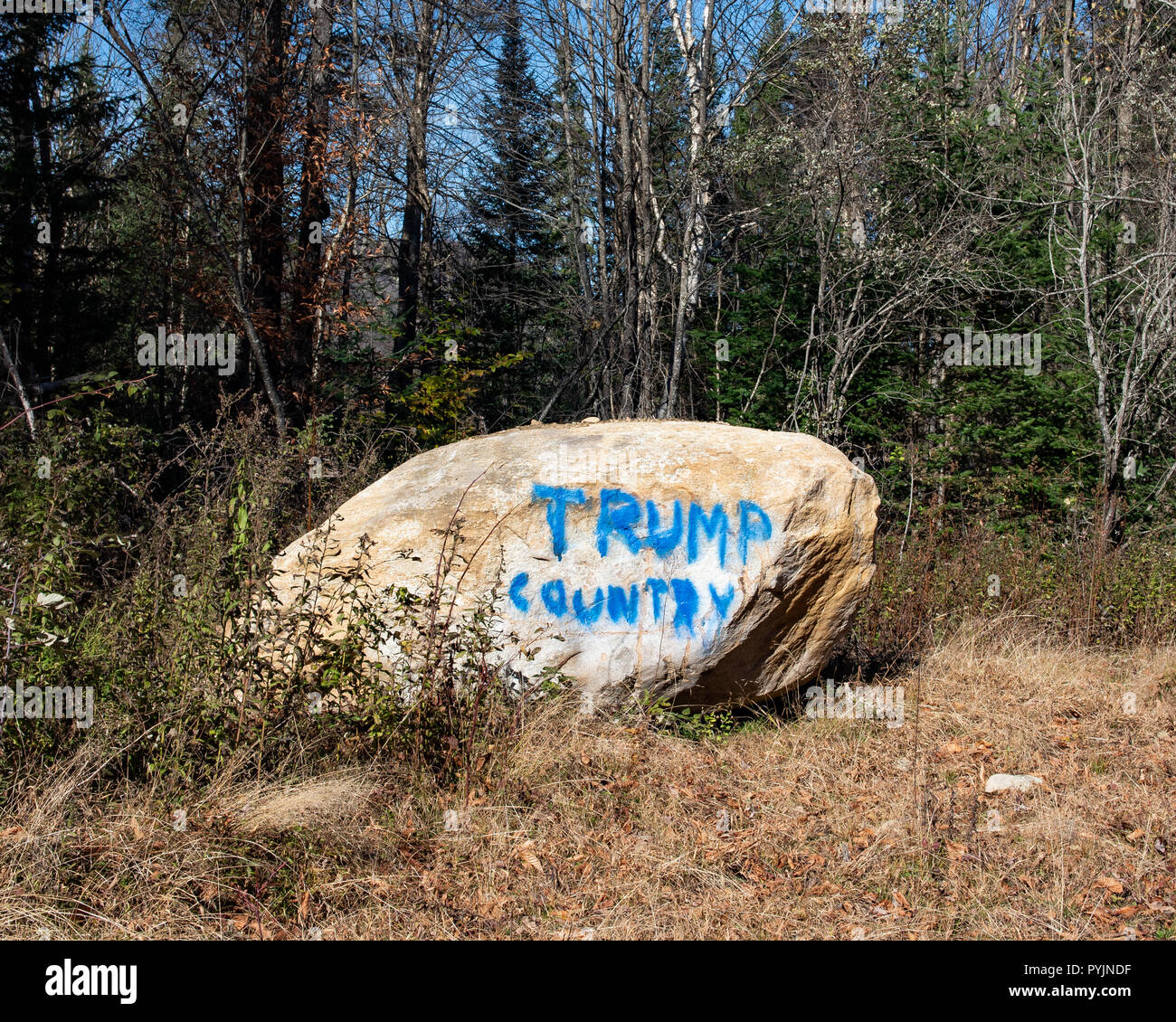 "Trump Country" graffiti painted on a boulder in the Adirondack ...