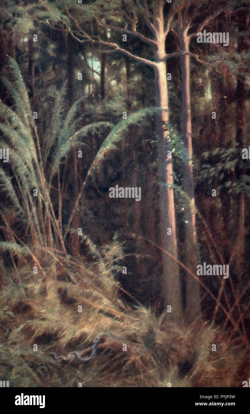 In Forest Depths in Burma, circa 1900 Stock Photo - Alamy
