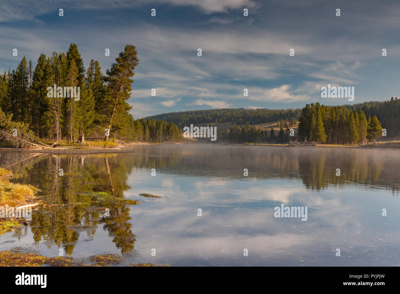 Yellowstone ecosystem hi-res stock photography and images - Alamy
