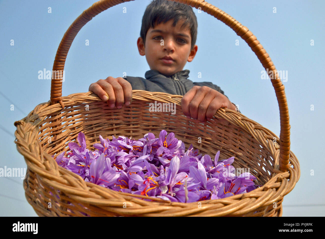 Iran basket hi-res stock photography and images - Alamy