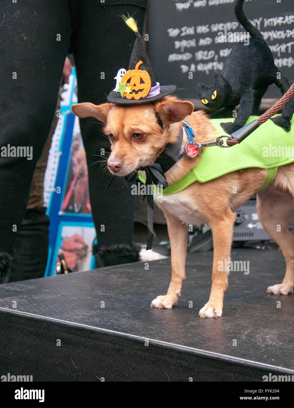 Mattter hi-res stock photography and images - Alamy