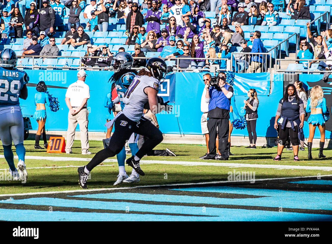 Hayden hurst panthers hi-res stock photography and images - Alamy