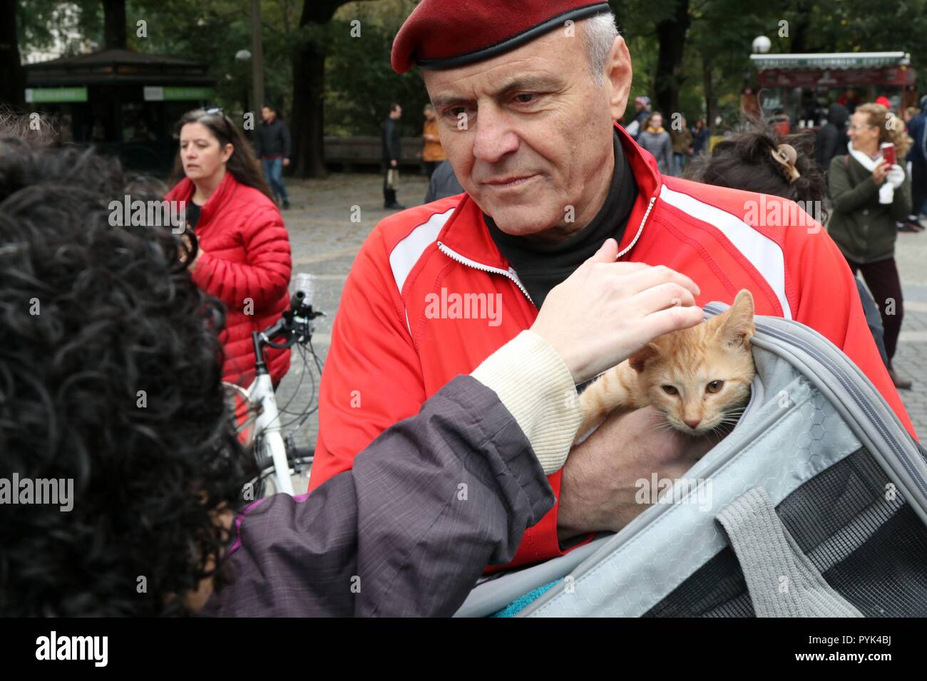 Rally cat hi-res stock photography and images - Alamy