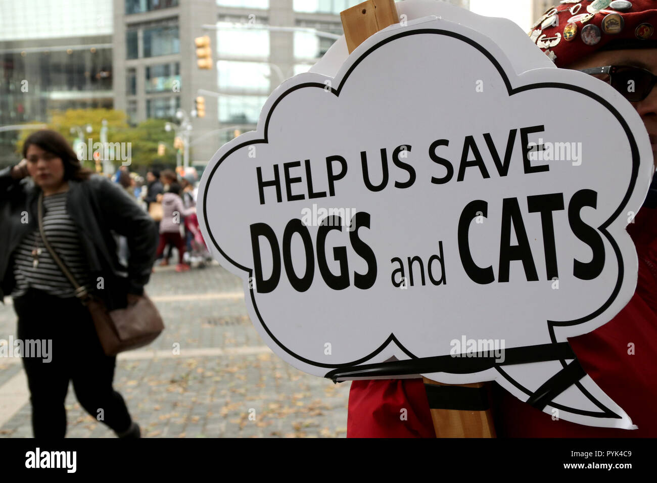 Coalition of animals rights activists hi-res stock photography and ...