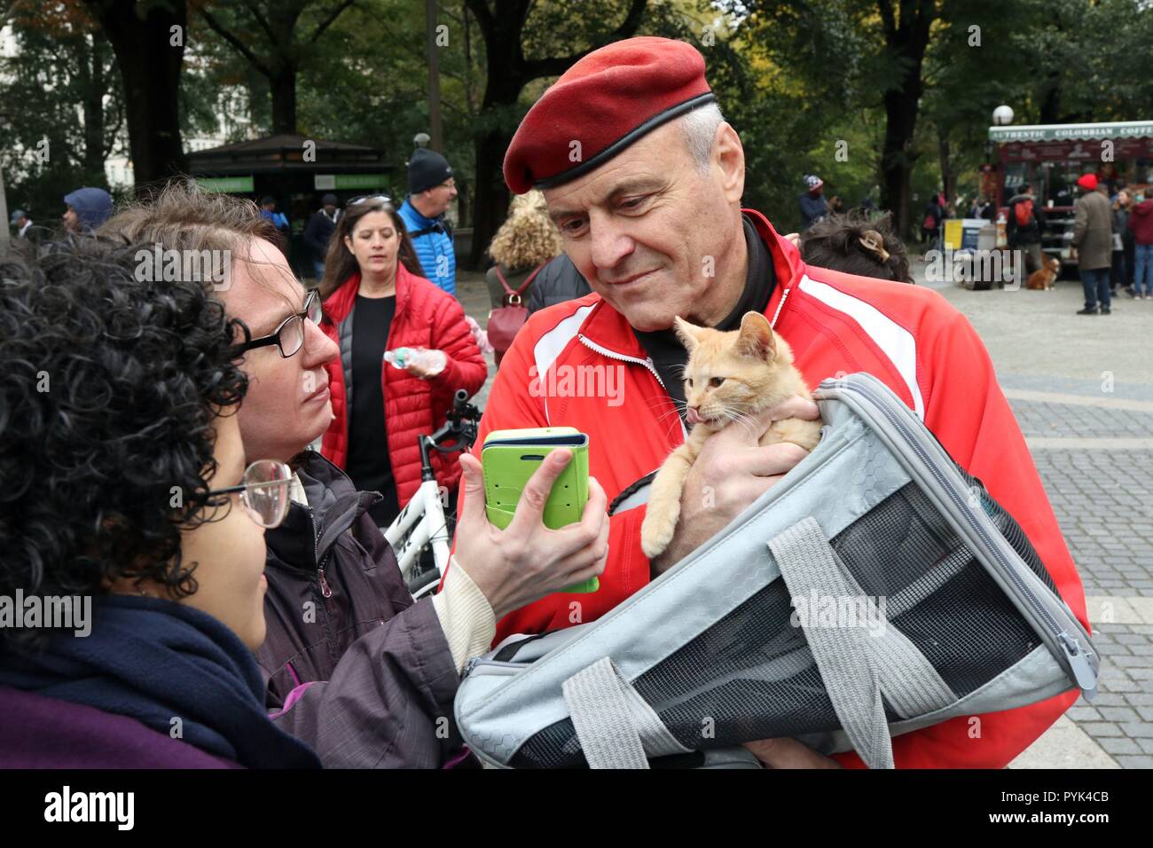 Curtis sliwa cat hi-res stock photography and images - Alamy