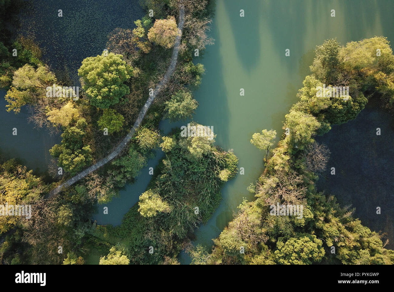 Xixi wetland xixi xixi national wetland park zhejiang hi-res stock ...