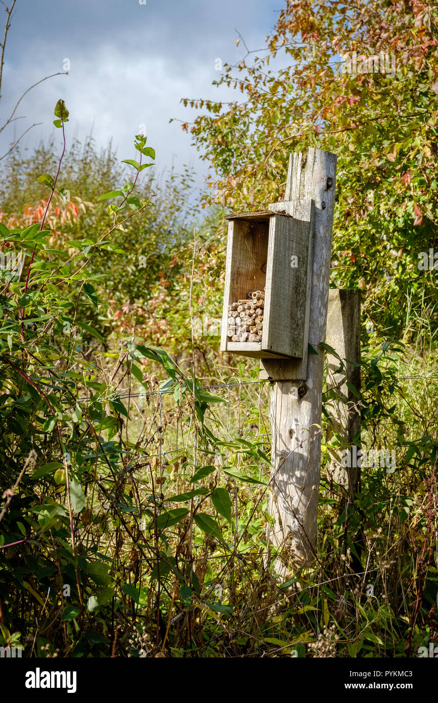 A homemade bug hotel in autumn wild garden setting Stock Photo - Alamy
