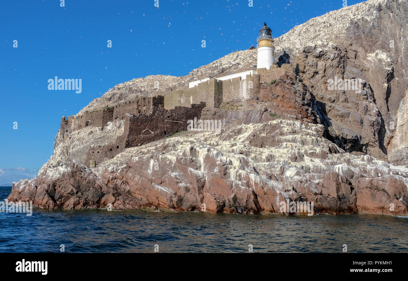 Bass Rock Lighthouse, off North Berwick, Scotland, heritage site of ...