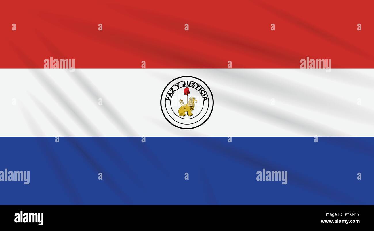 Flag Paraguay - back side swaying in wind, realistic vector Stock ...