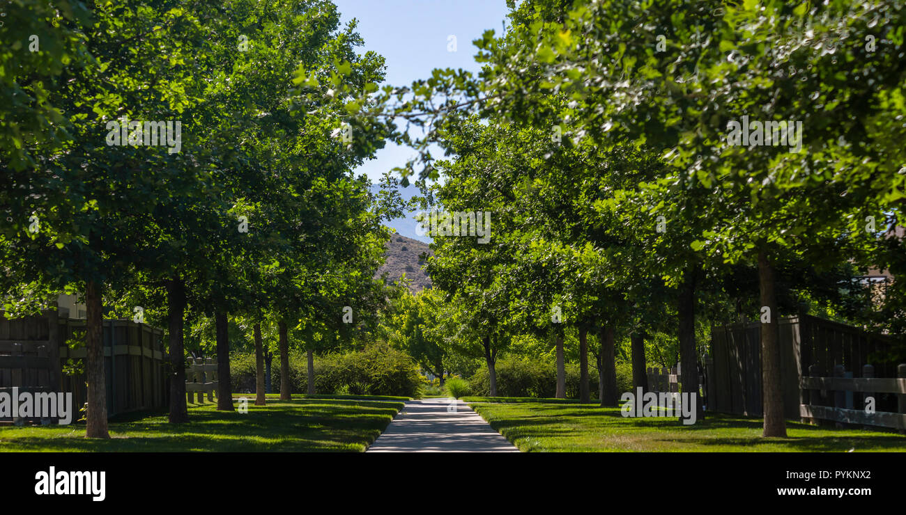 Concrete path lined with lush trees in Utah Valley Stock Photo - Alamy