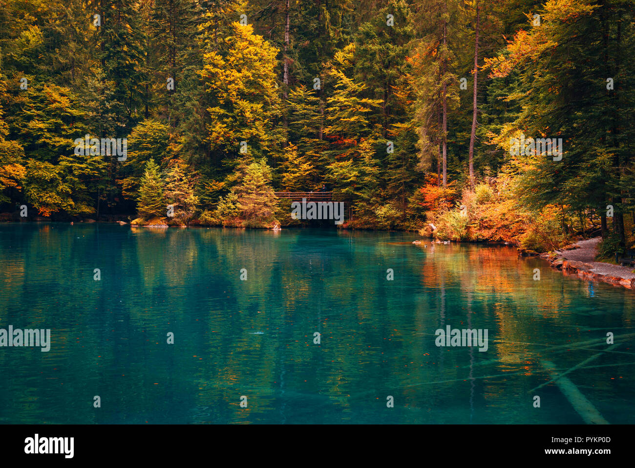 Autumn time at romantic forest lake Blausee, Switzerland Stock Photo ...