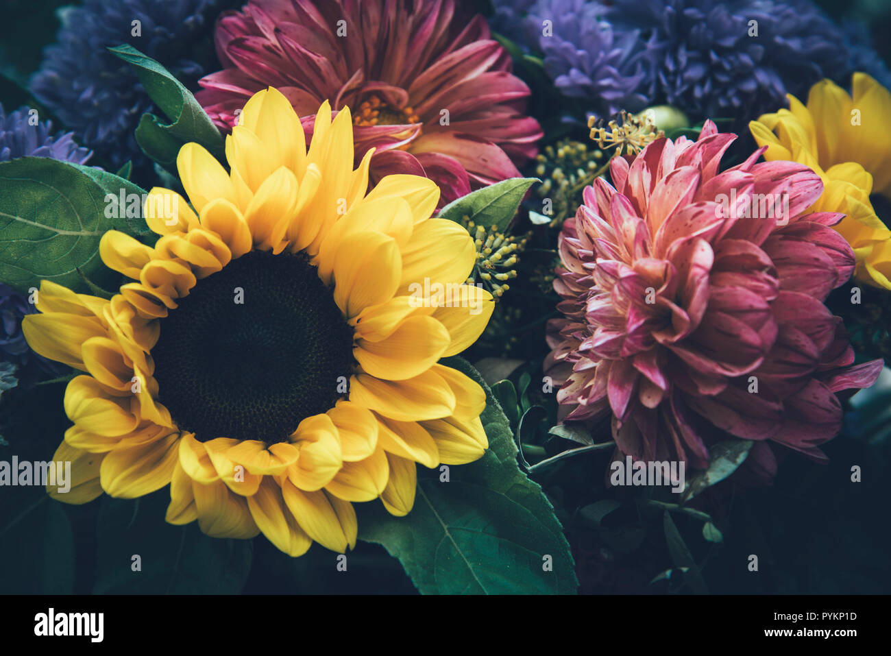 Dark magic rose hi-res stock photography and images - Alamy