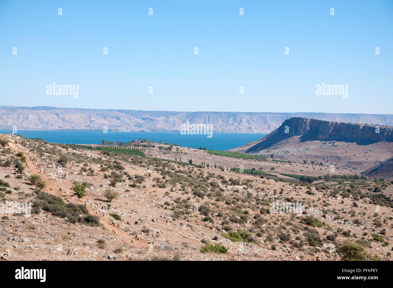 Sea of Galilee with Arbel cliff Stock Photo - Alamy