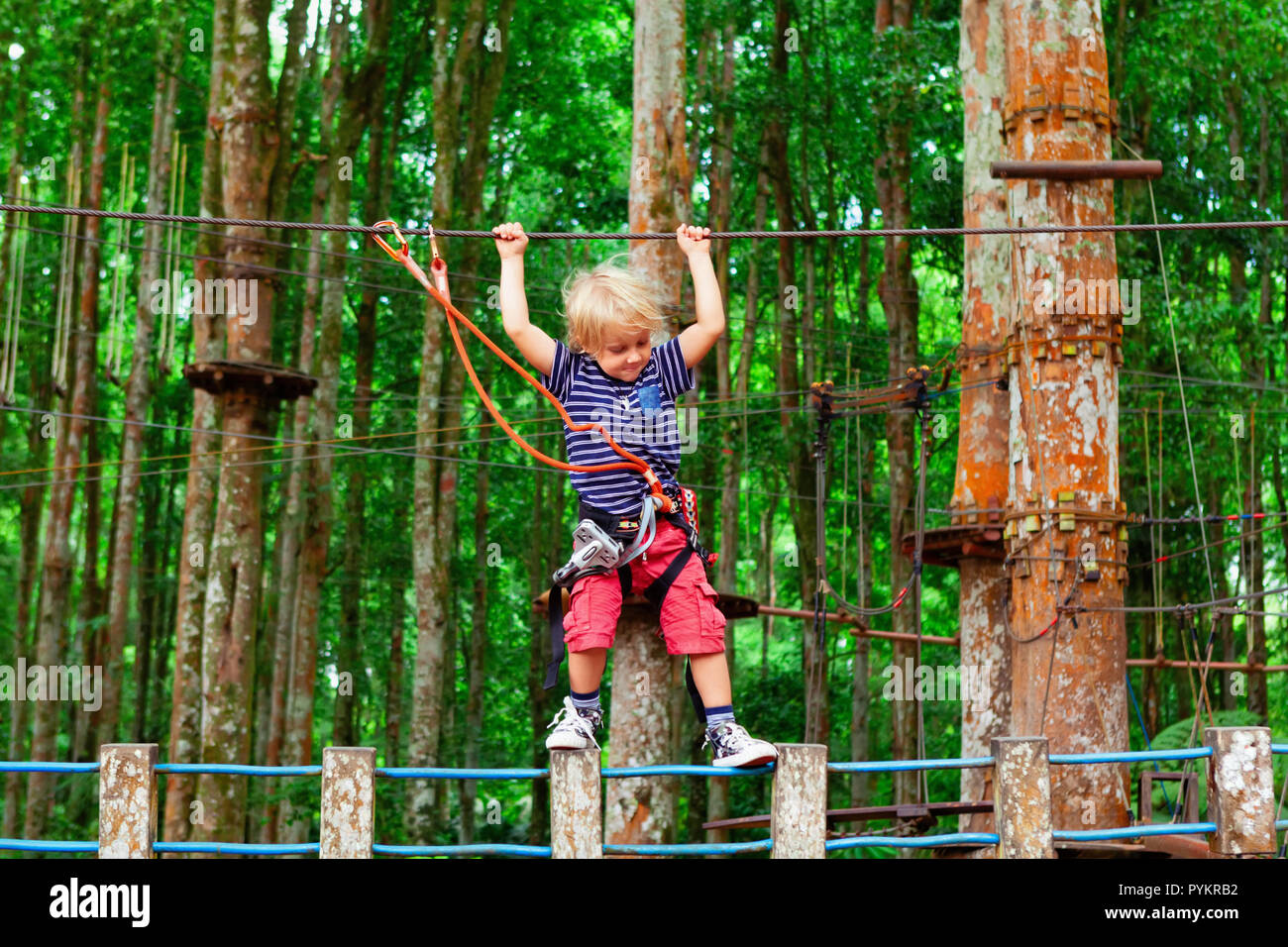 Treetop course hi-res stock photography and images - Alamy