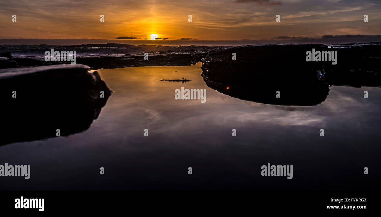 California rocky intertidal zone hi-res stock photography and images ...