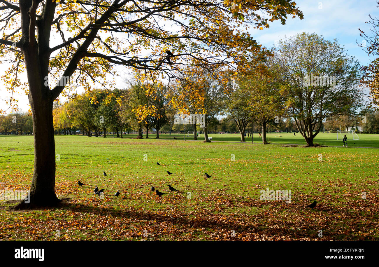 Northampton racecourse hi-res stock photography and images - Alamy